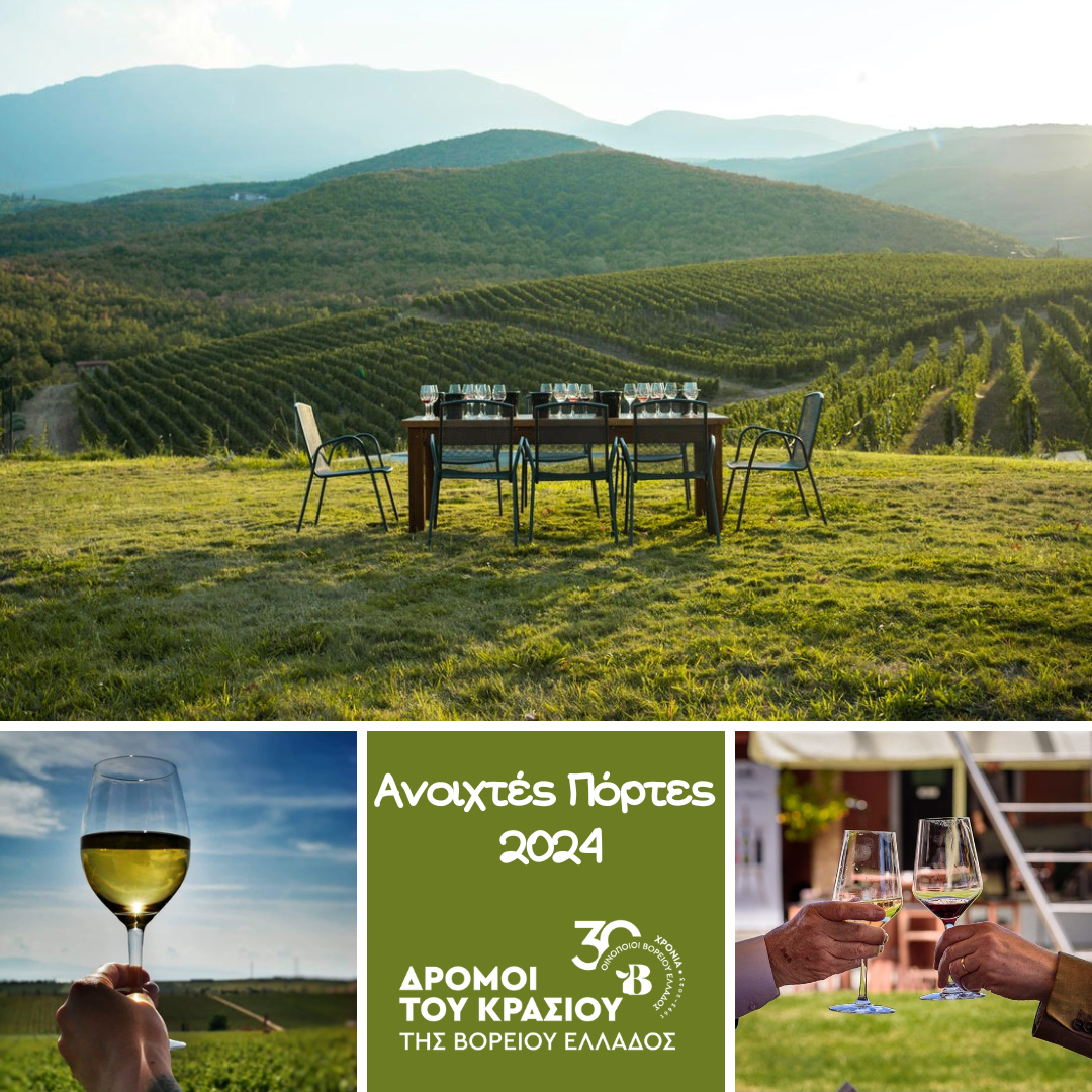 Save the Date: Ανοιχτές Πόρτες 2024 | WINEMAKERS OF NORTH GREECE