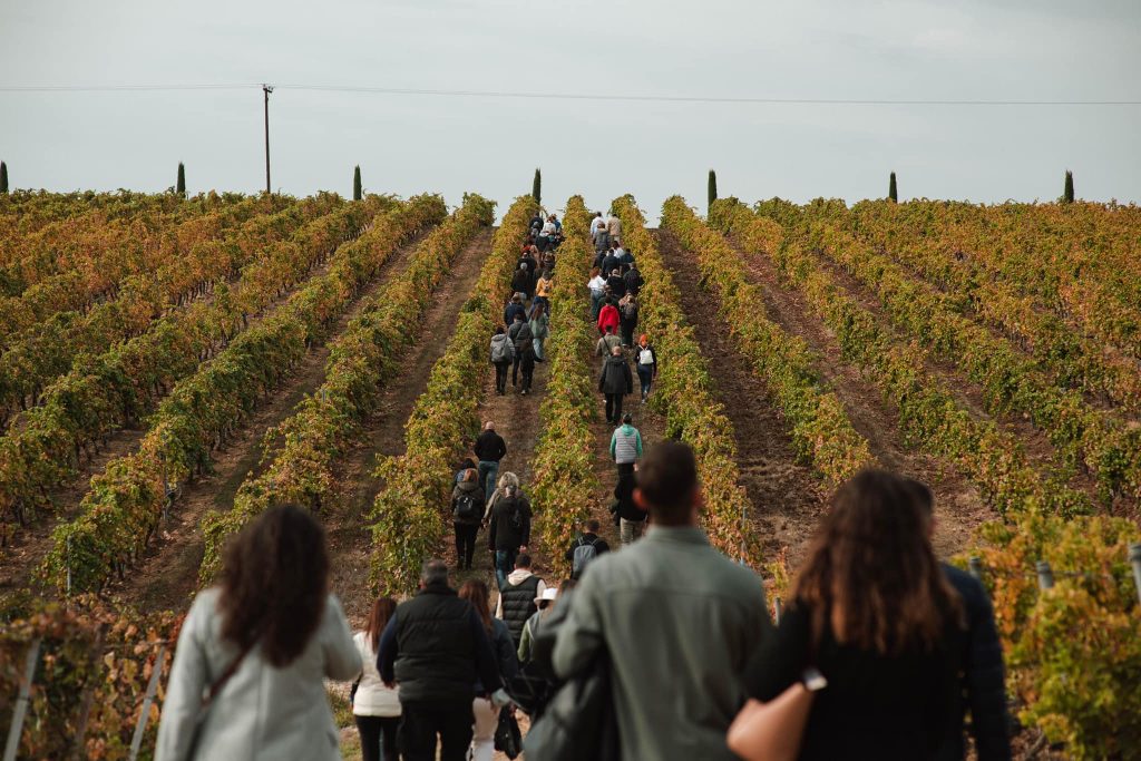 Παγκόσμια Ημέρα Οινοτουρισμού | WINEMAKERS OF NORTH GREECE